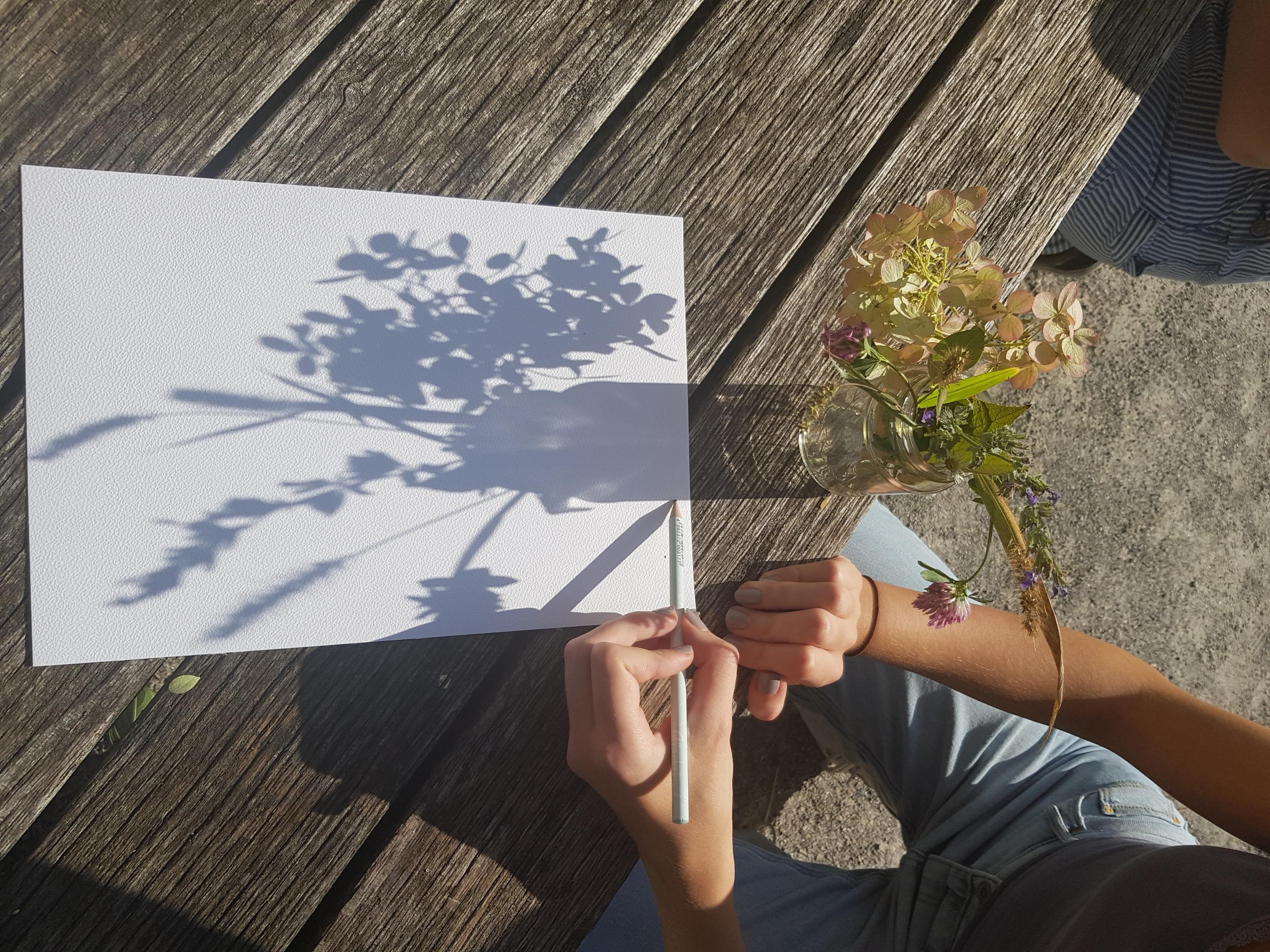 Shadow painting : HLW Sozialmanagement Graz